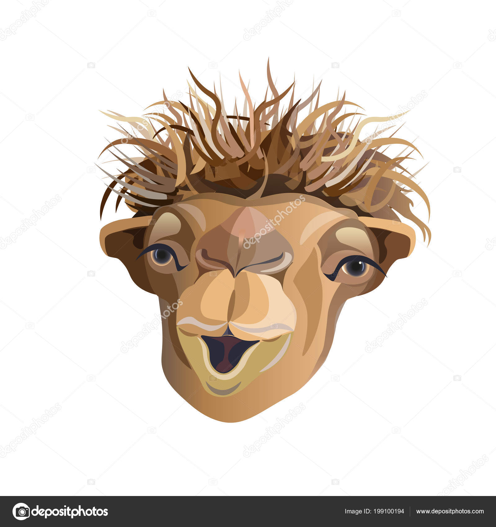 Head Camel Close Front View Vector Illustration Isolated White ...