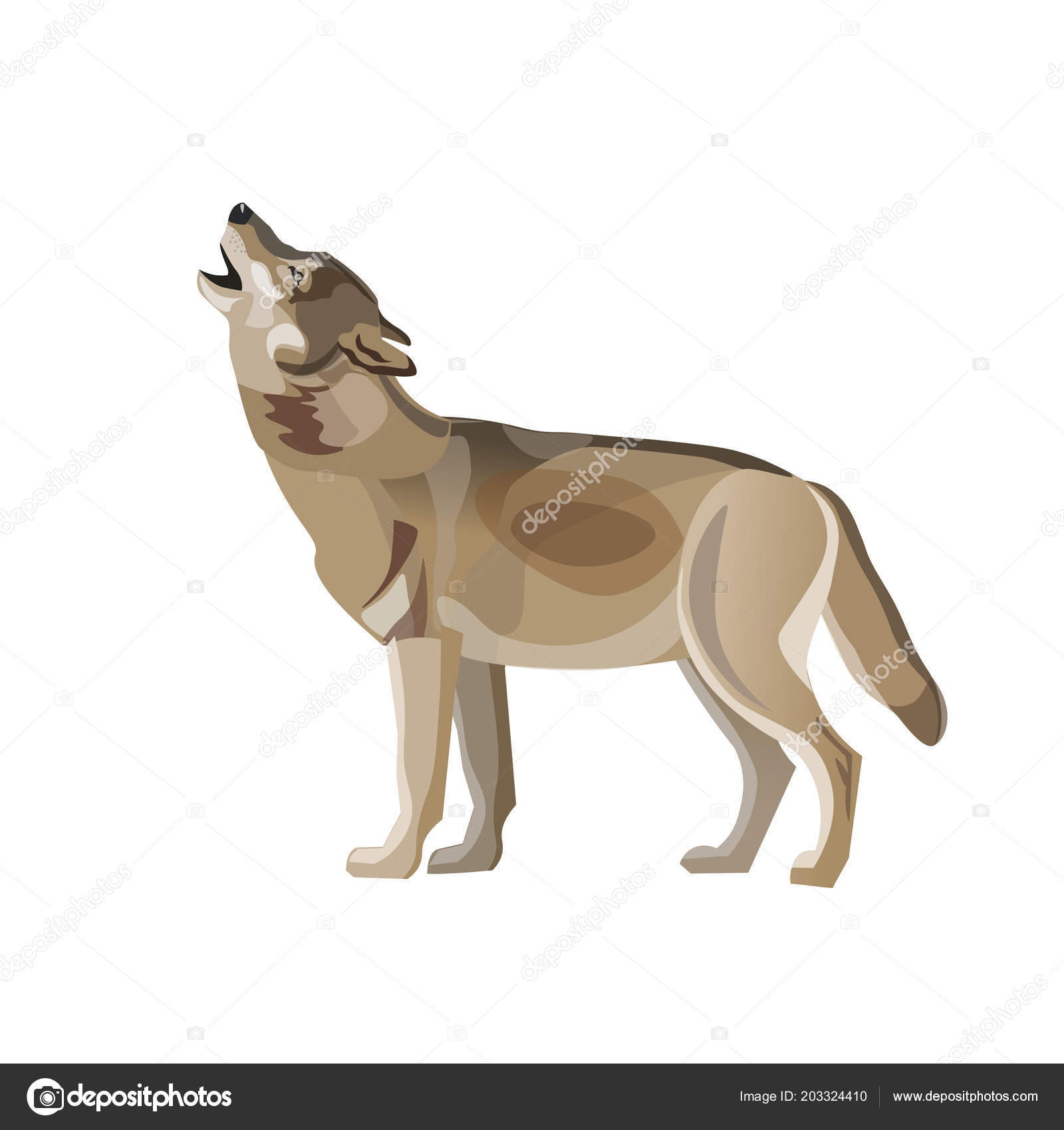 Howling Gray Timber Wolf Vector Illustration Isolated White Background ...