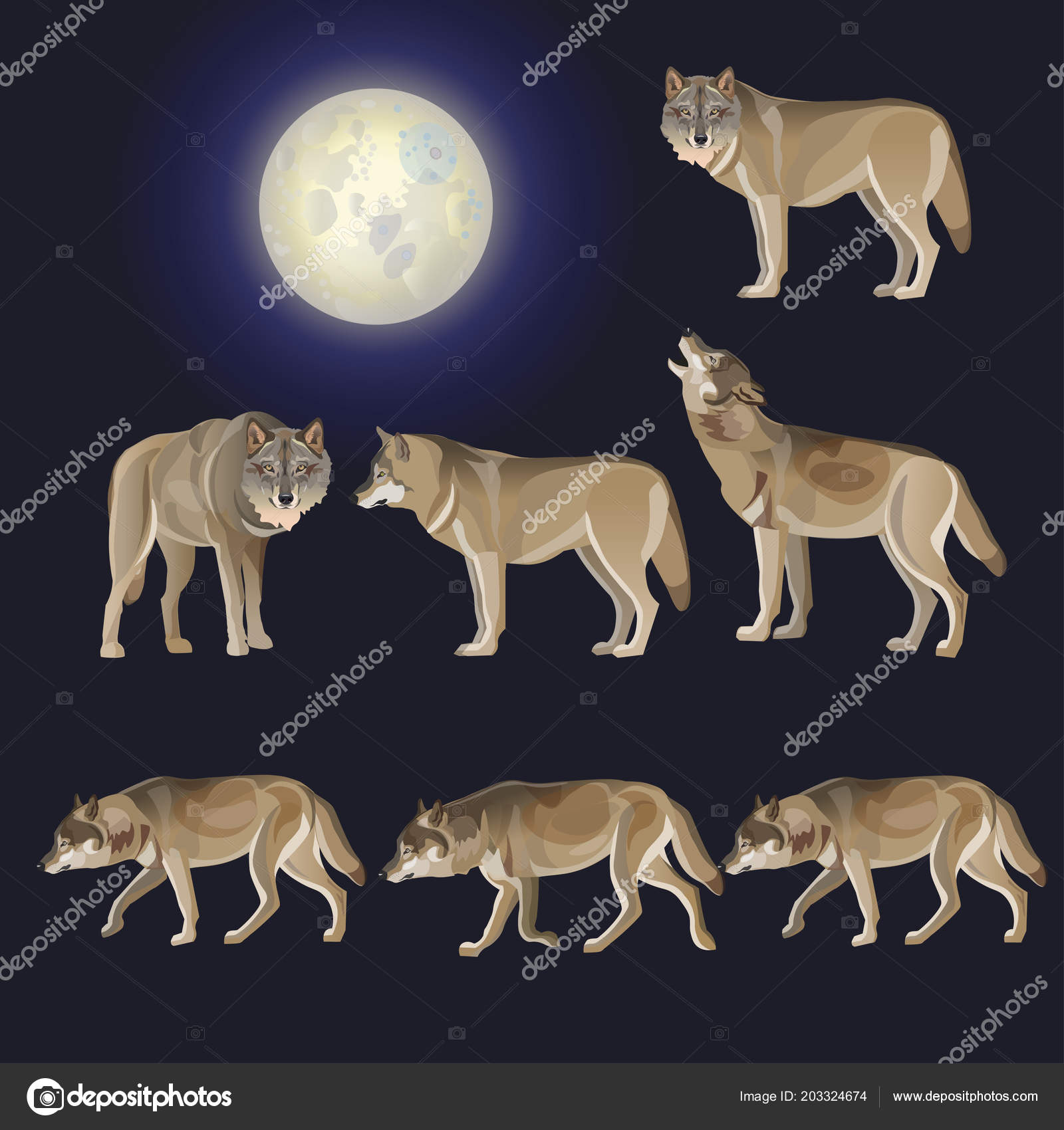 Conjunto Lobos Grises Ilustración Vectorial Sobre Fondo Luna Llena ...