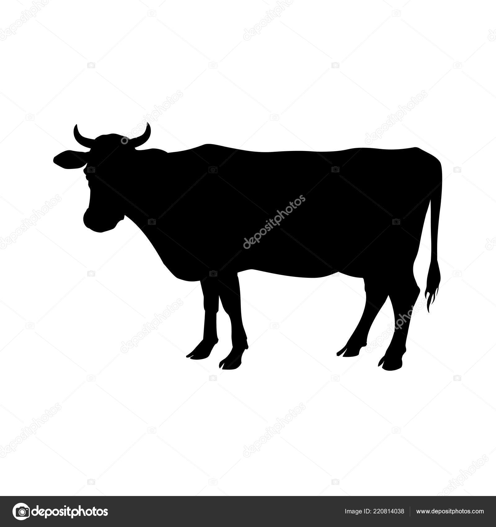 Silhouette Standing Cow Side View Vector Illustration Isolated White ...