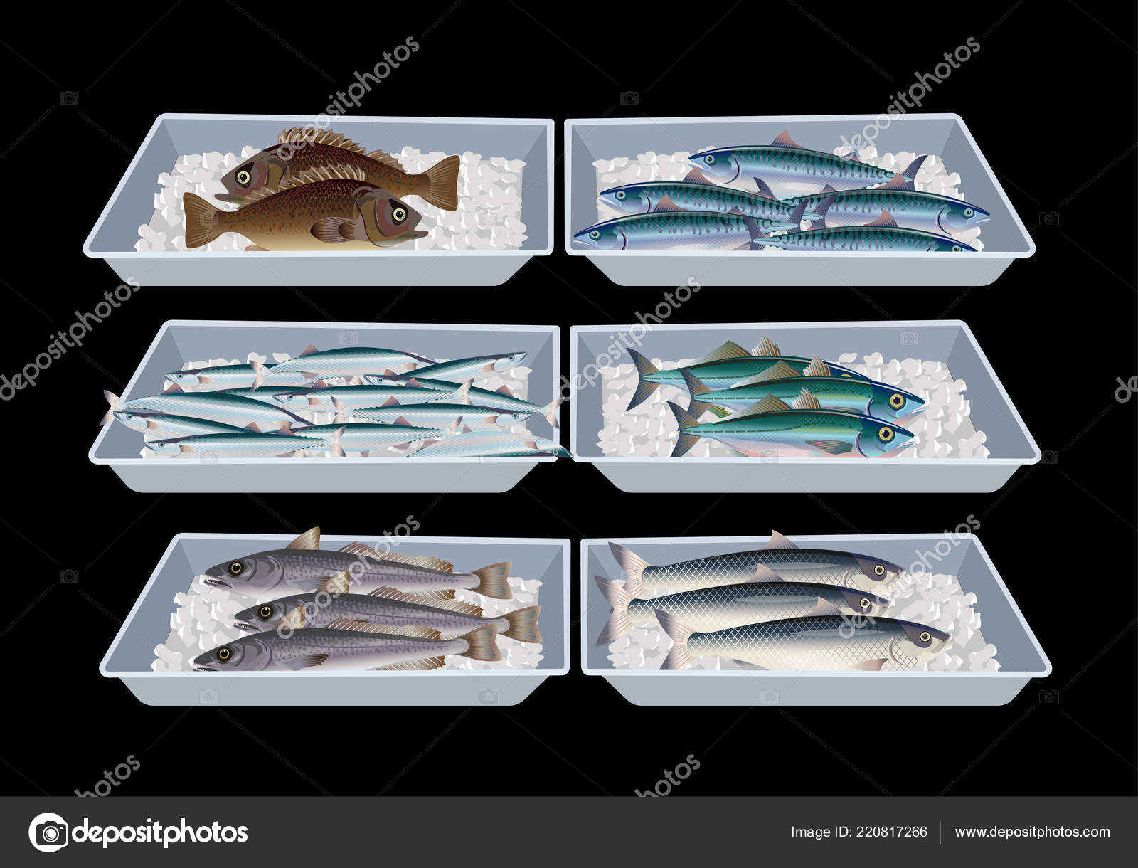 Fresh Fish Container Boxes Vector Illustration Isolated Black ...
