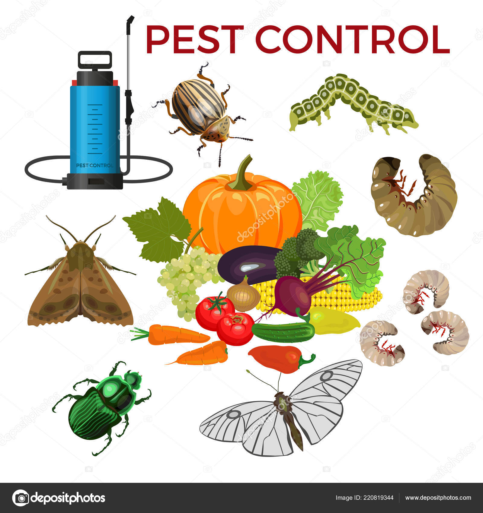 Konsep Pengendalian Hama Dengan Hama Sayuran Dan Penyemprot Ilustrasi ...