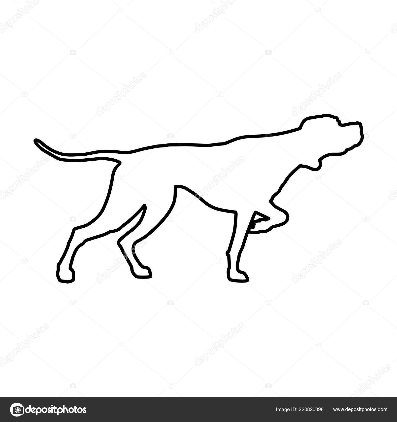 English Pointer Silhouette