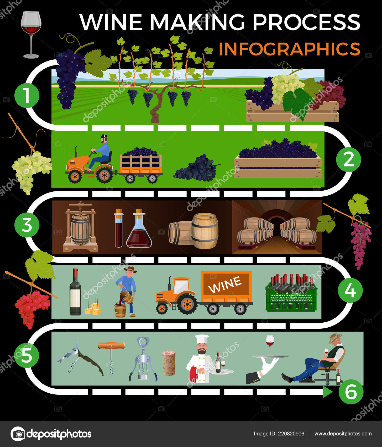 Image vectorielle Processus Vinification Illustration Vectorielle Isolée Sur Fond Blanc par ...