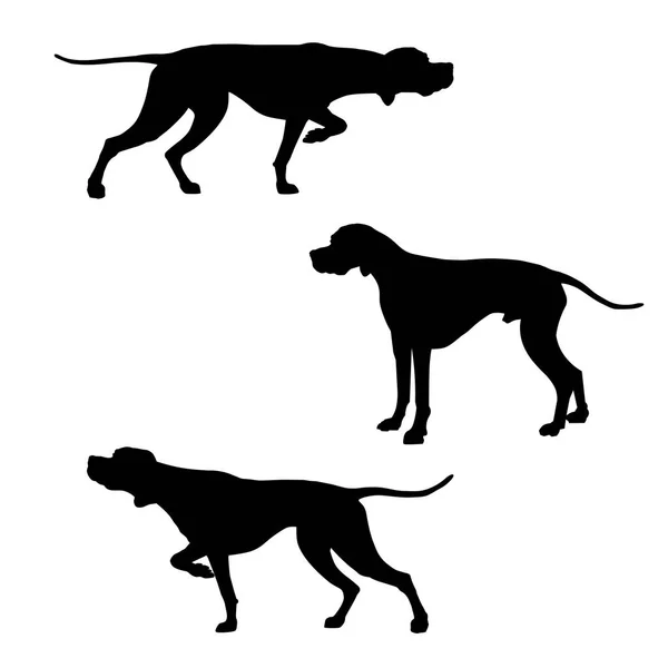English pointer Vector Art Stock Images | Depositphotos