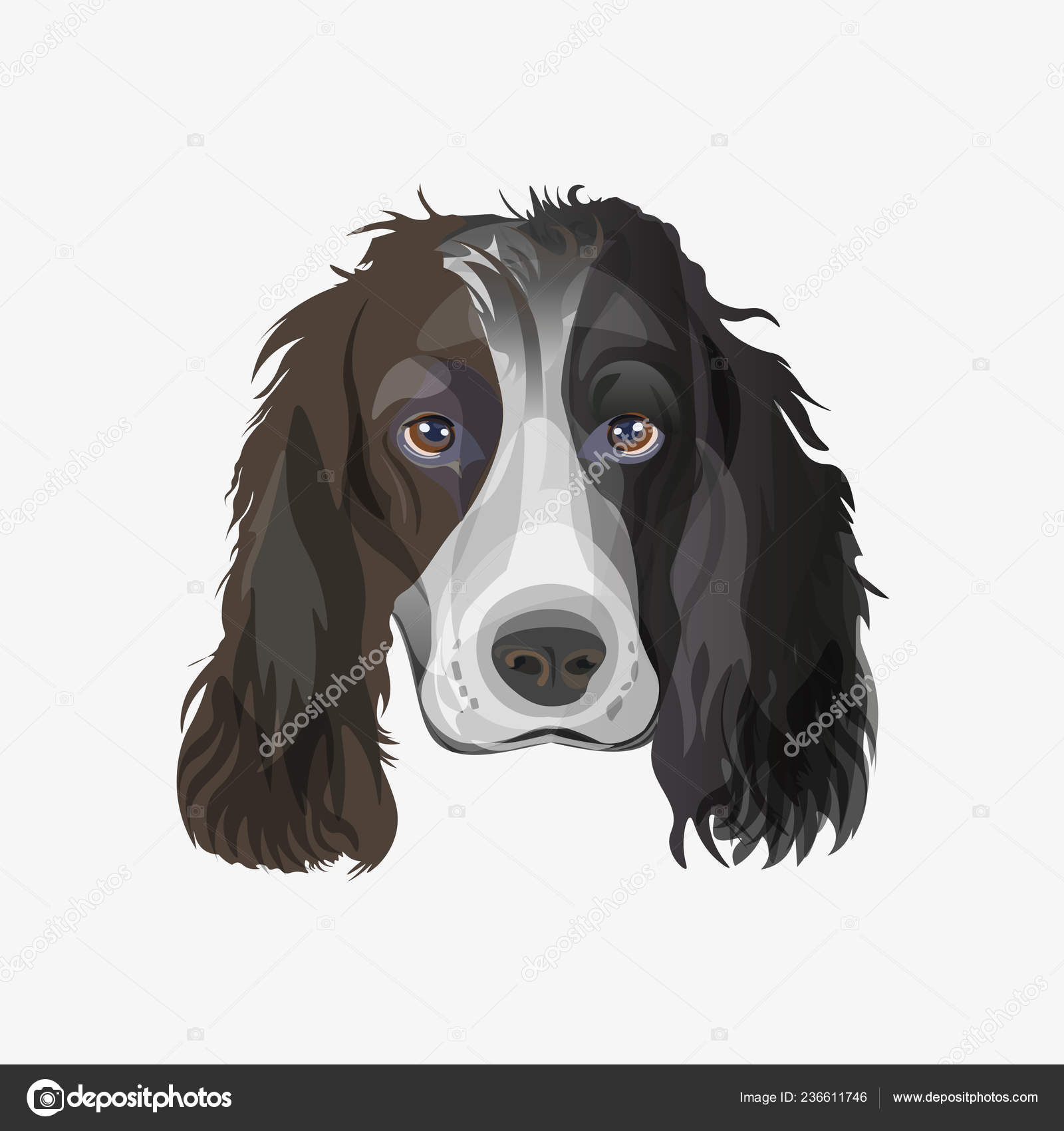 English springer spaniel dog Stock Vector by ©newgena 236611746