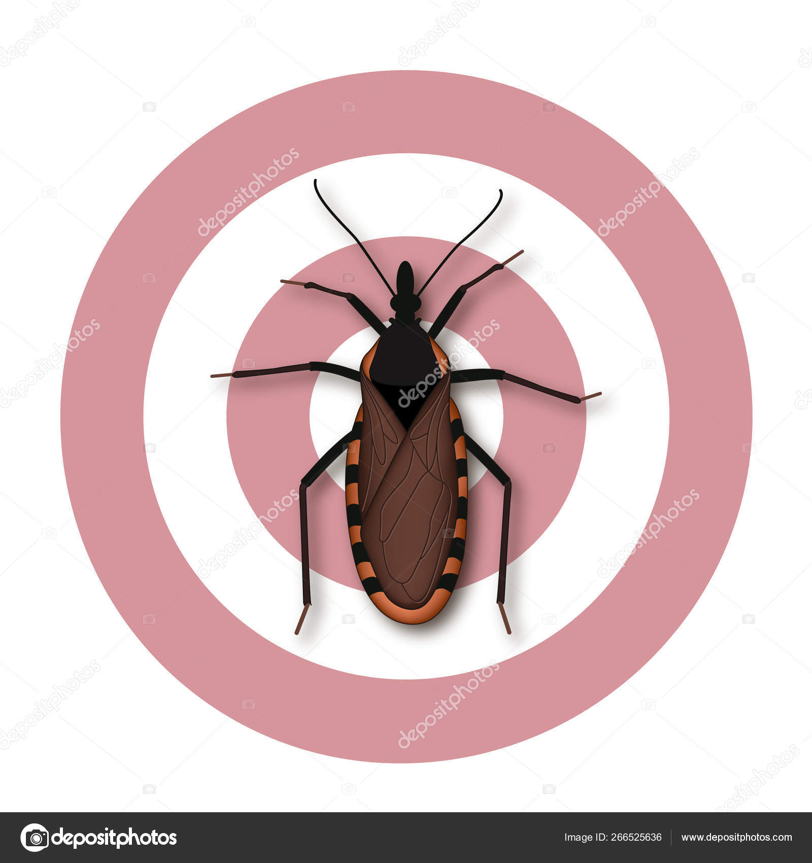 Kissing Bug Sucks Blood Its Victim's Face Can Carry Trypanosoma Stock ...