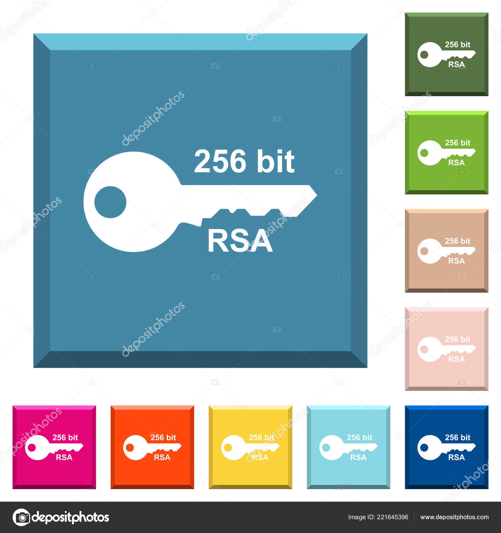 256 Bit Rsa Encryption White Icons Edged Square Buttons Various Stock ...