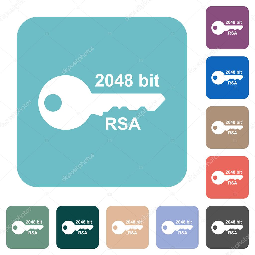 Iconos planos blancos de cifrado rsa de 2048 bits en fondos cuadrados ...