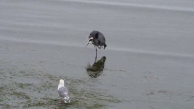 Portfolio: jpldesigns | Stock Photos, Illustrations and Vector Art ...