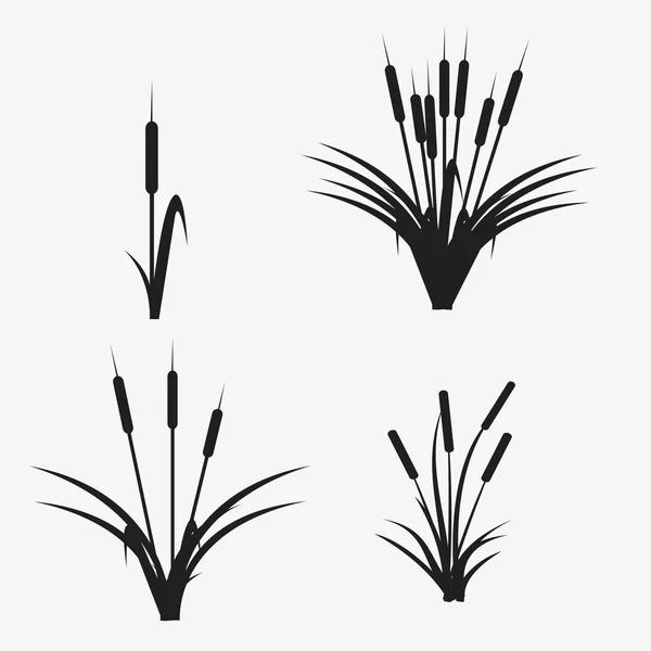 Water reeds Vector Images | Depositphotos