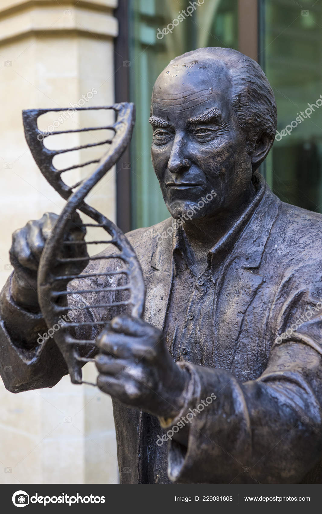 Northampton November 10Th 2018 Statue Famous British Molecular ...