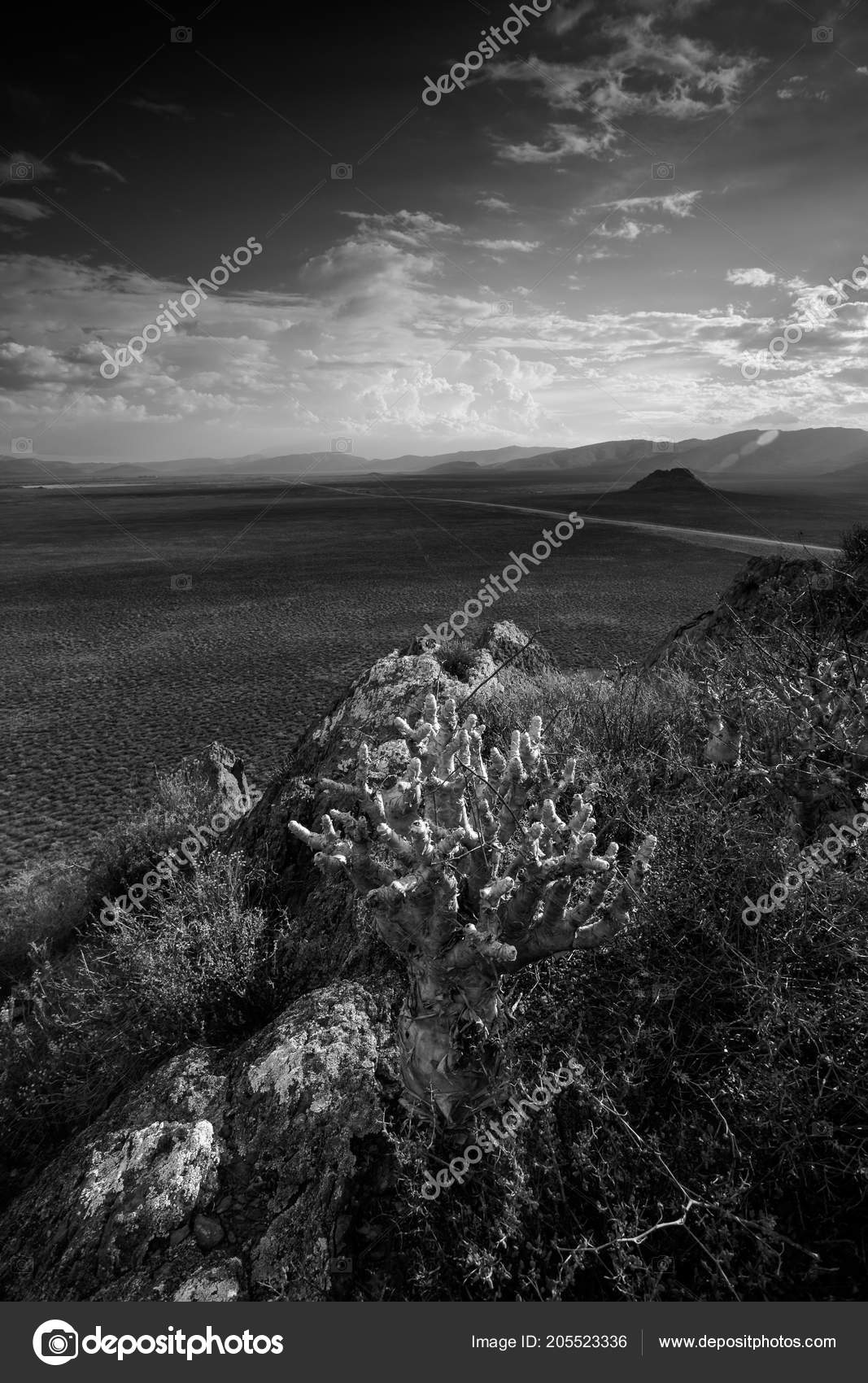 Panoramic Views Tankwa Karoo Desert Dramatic Thunderclouds Sky ⬇ Stock ...