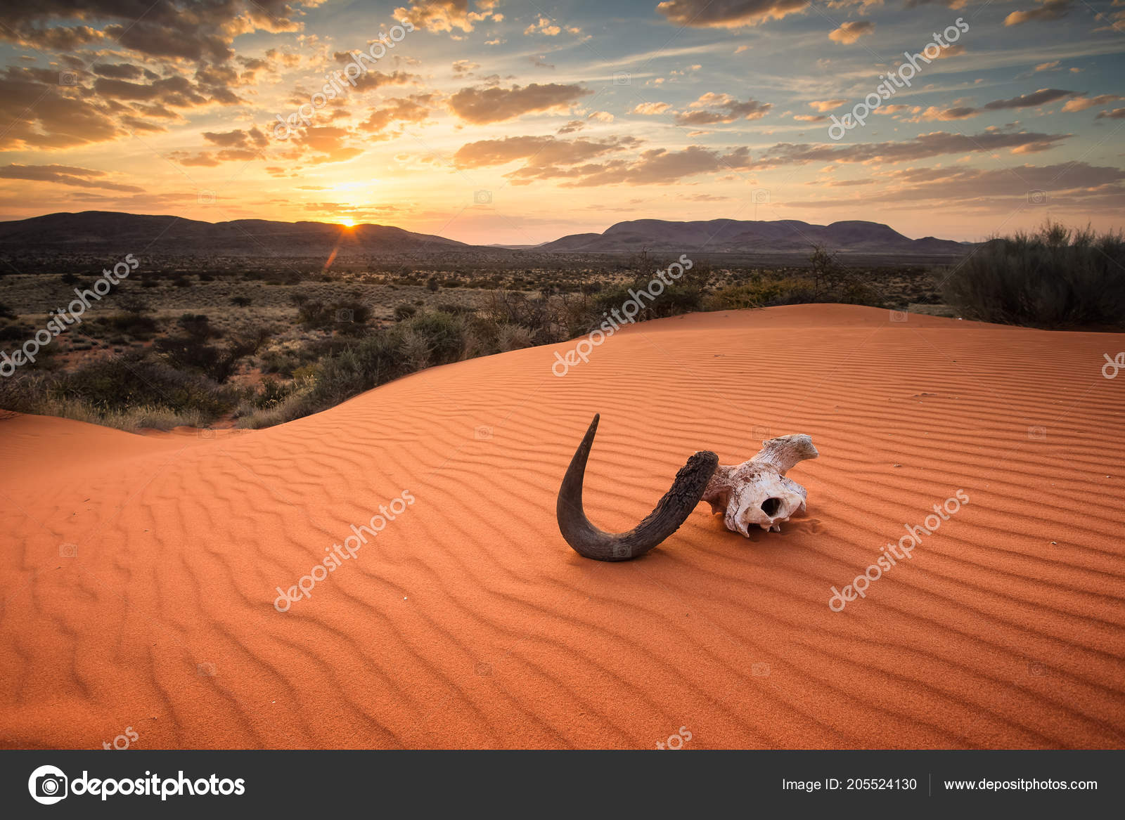 Kalahari Desert Sunset