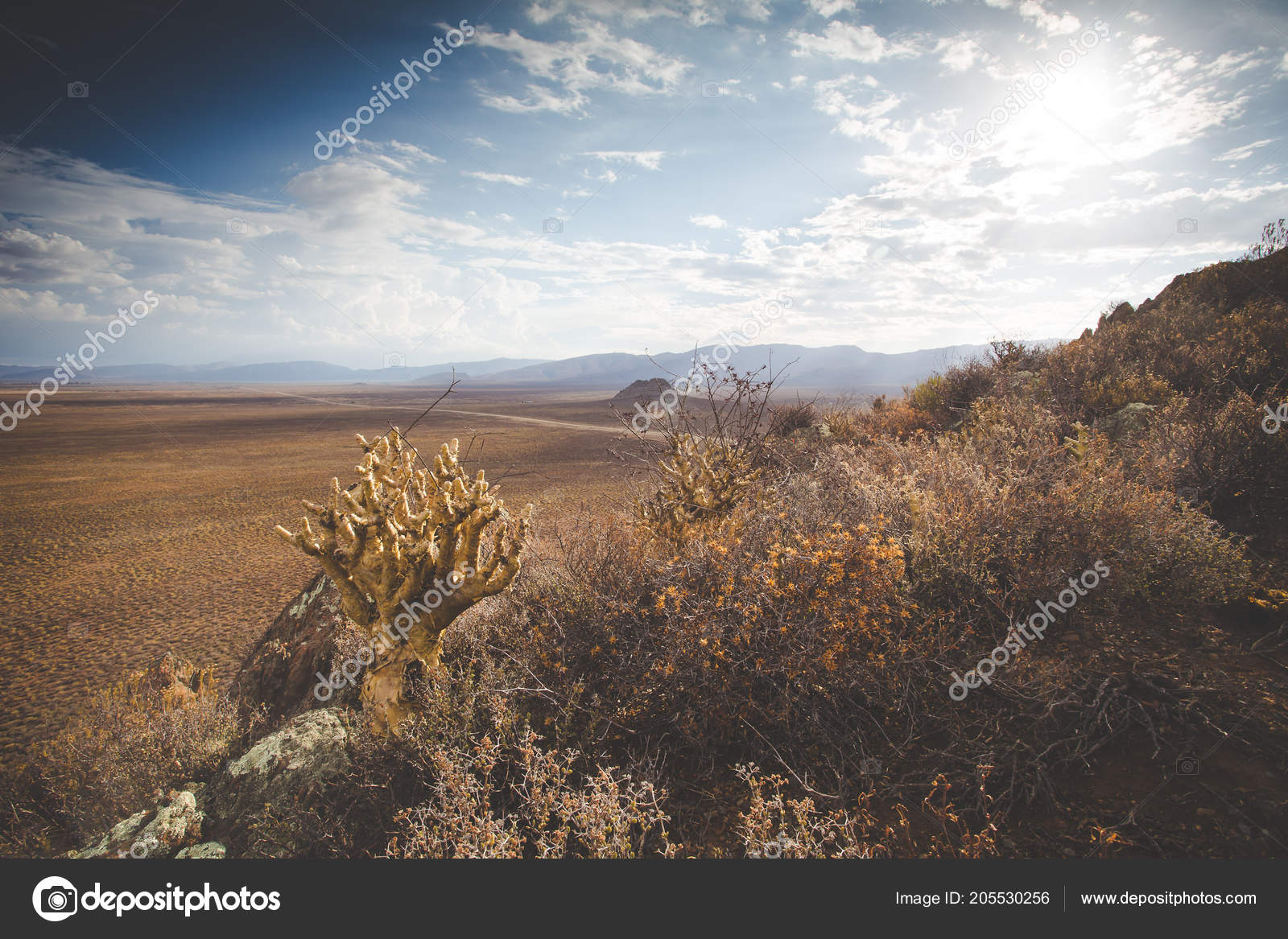 Panoramic Views Tankwa Karoo Desert Dramatic Thunderclouds Sky Stock ...