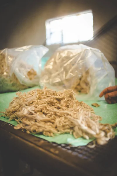 Karoo angora goats Stock Photos, Royalty Free Karoo angora goats Images ...