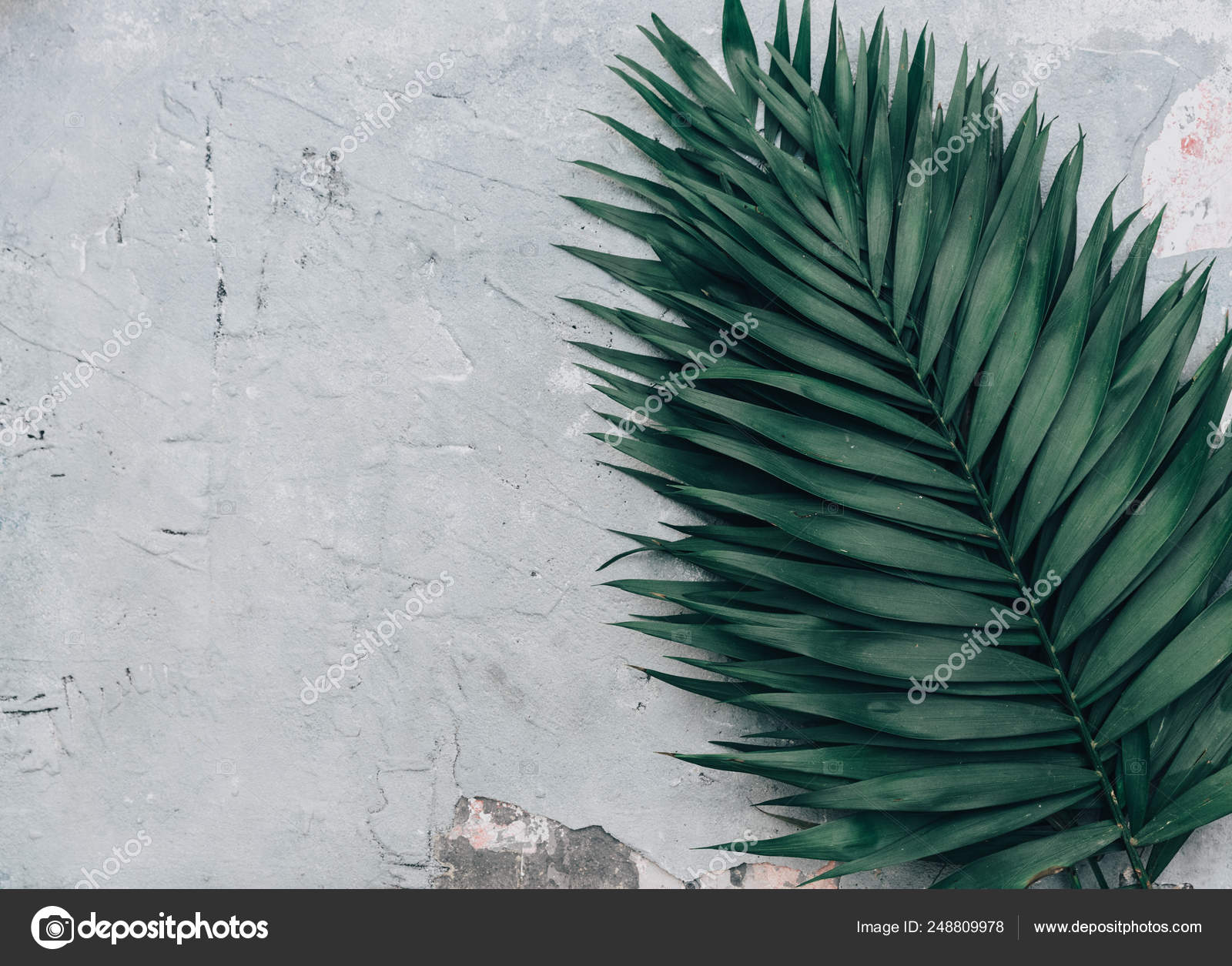 Flat Lay Tropical Palm Leaf Stone Background Minimal Top View — Stock ...