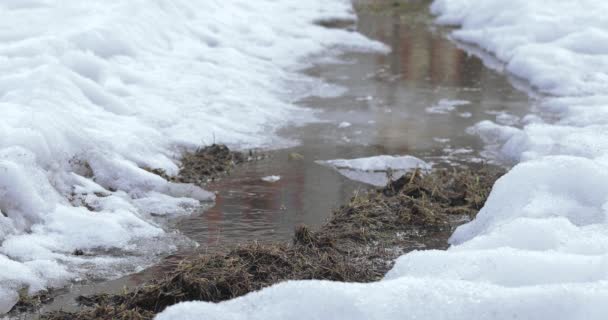 32,809 Frosty Videos, Royalty-free Stock Frosty Footage | Depositphotos