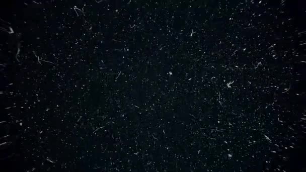 White dust particles moving slowly in space on black background ...