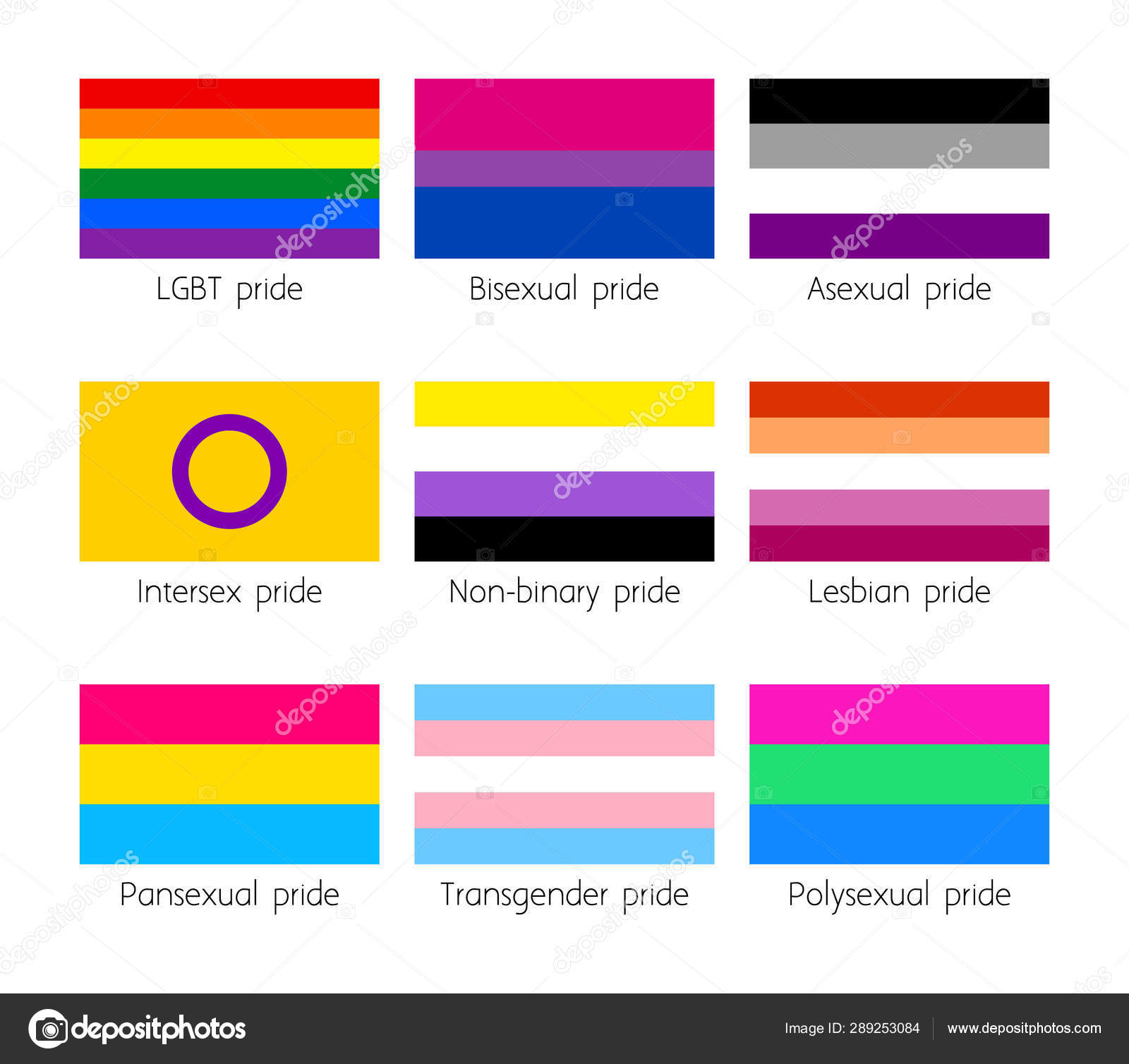 Sexual Identity Lgbt Flags Set Stock Vector Image By ©rea Molko 289253084