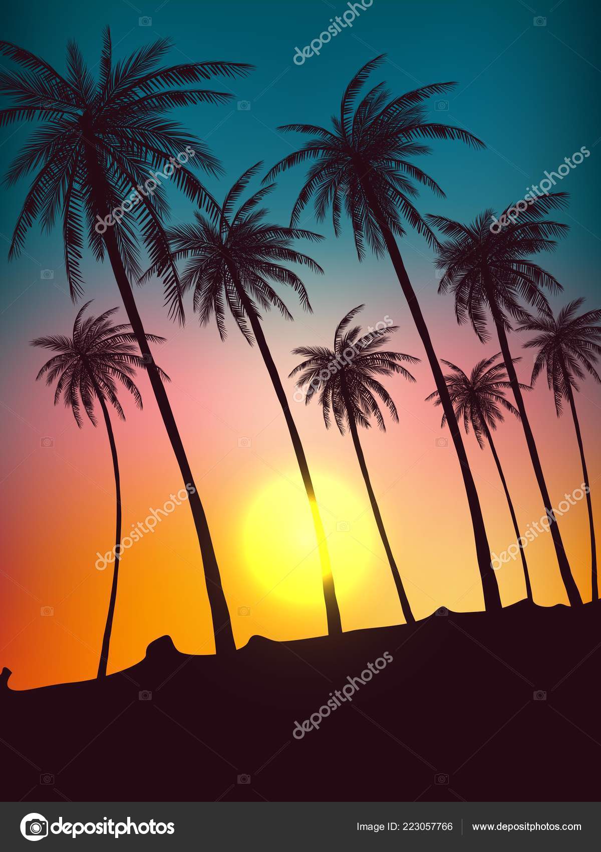 Row Of Palm Trees Silhouette