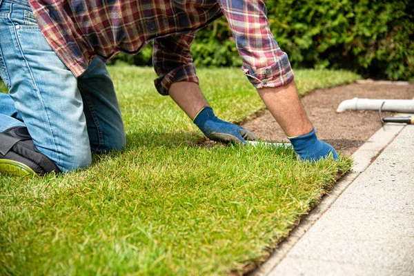 Sod installation Stock Photos, Royalty Free Sod installation Images ...