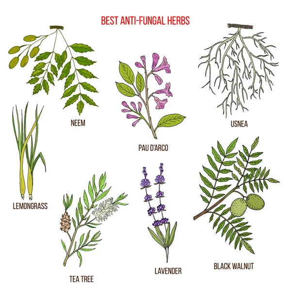 Anti fungal Vector Art Stock Images | Depositphotos