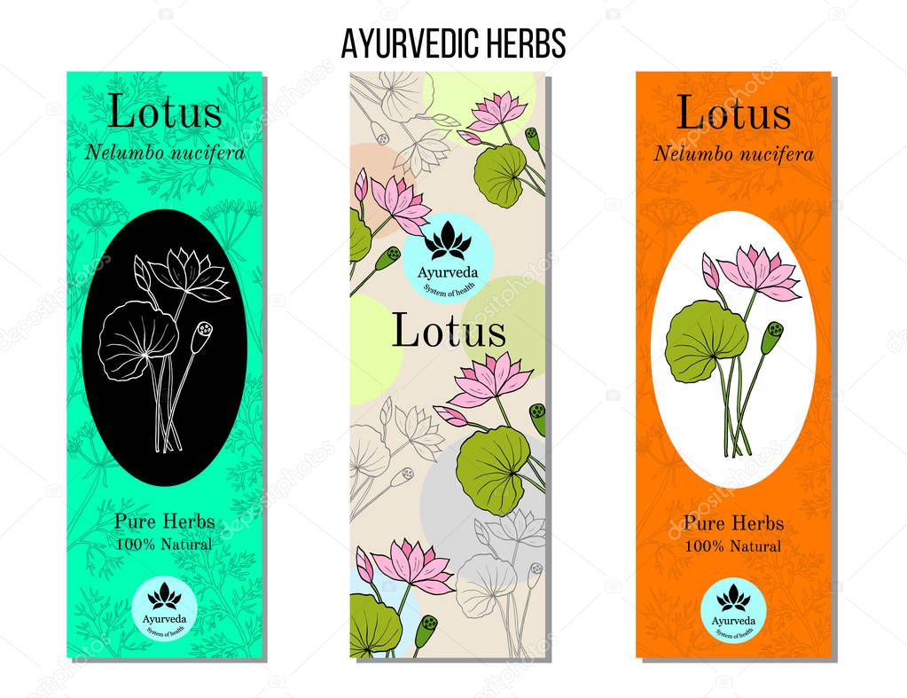 Banderas de hierbas ayurvédicas. Loto, planta aromática y medicinal 2022