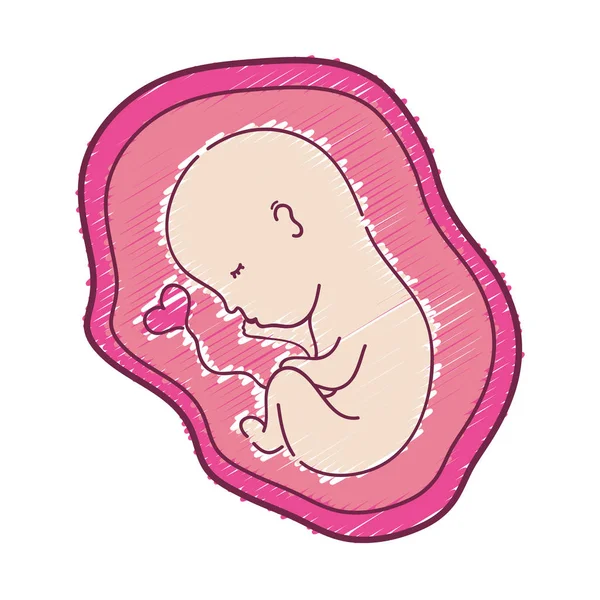 New Life Baby Umbilical Cord Vector Illustration Stock Vector by ...