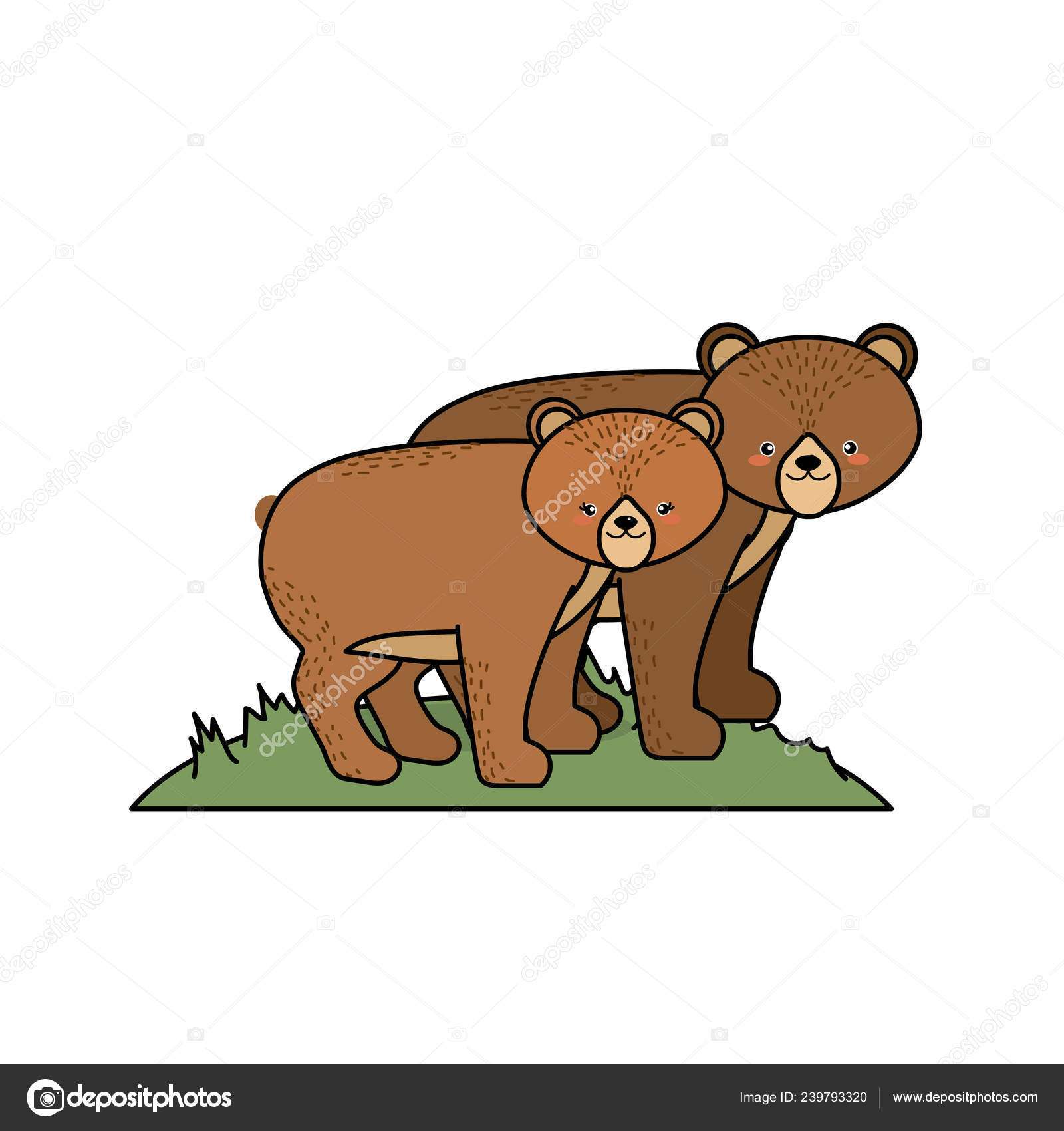 Lindo Oso Animal Pareja Juntos Vector Ilustración Vector de stock ...