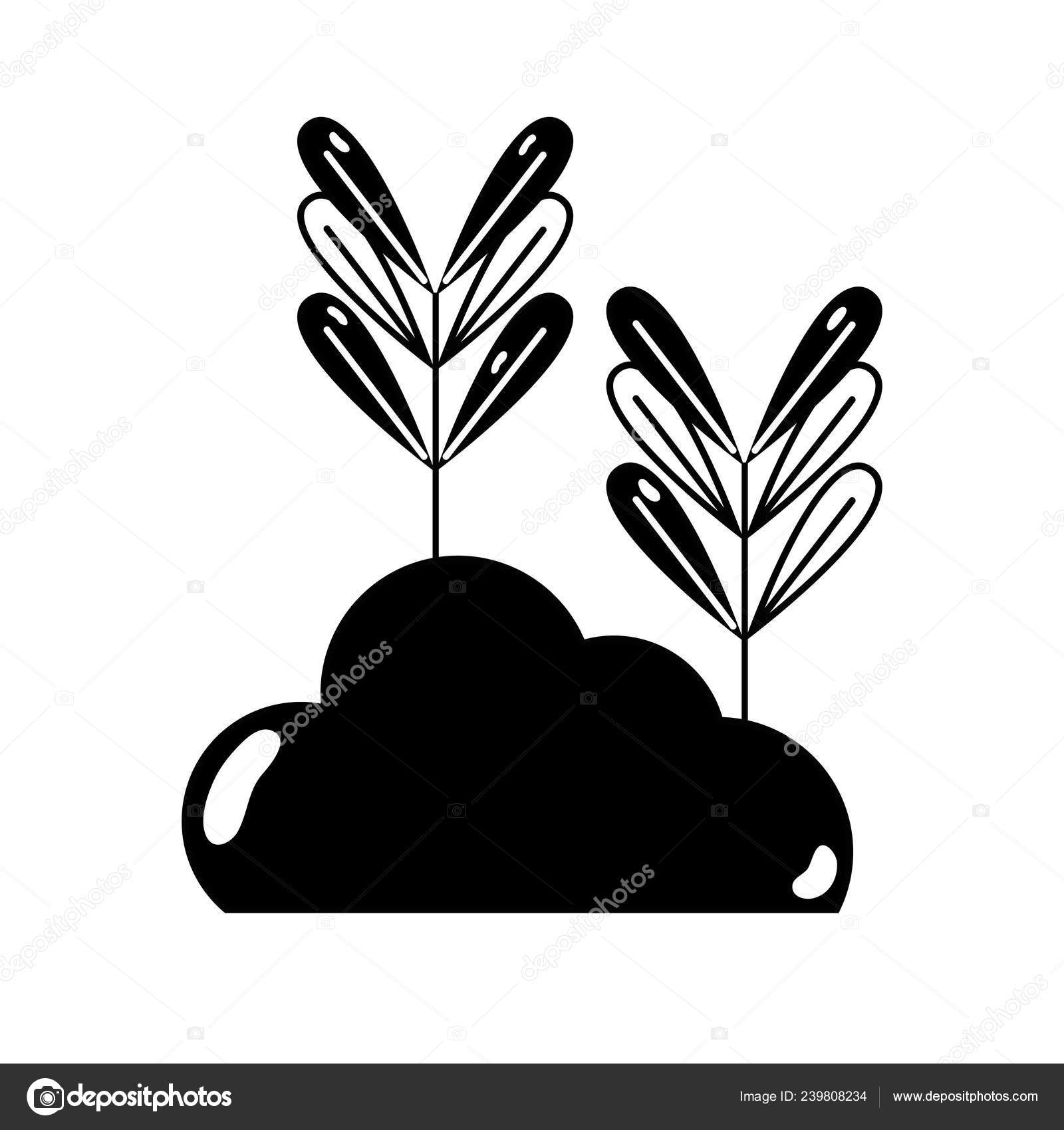 Contour Natural Plants Leaves Botanic Bush Vector Illustration Stock ...