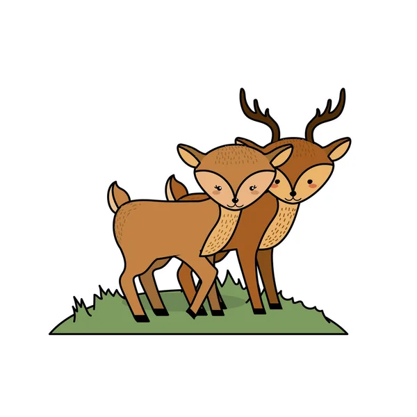 100,000 Deer mating Vector Images | Depositphotos