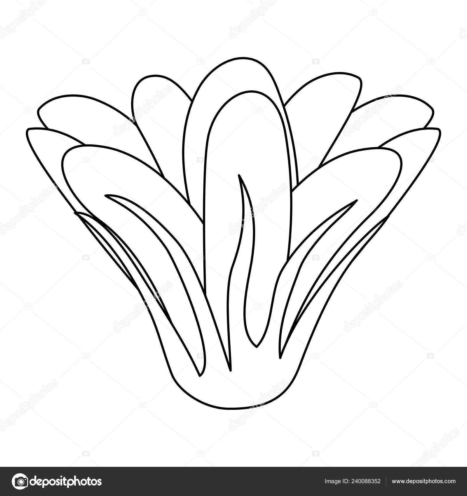 Line Cute Flowers Nature Petals Design Vector Illustration Stock Vector ...