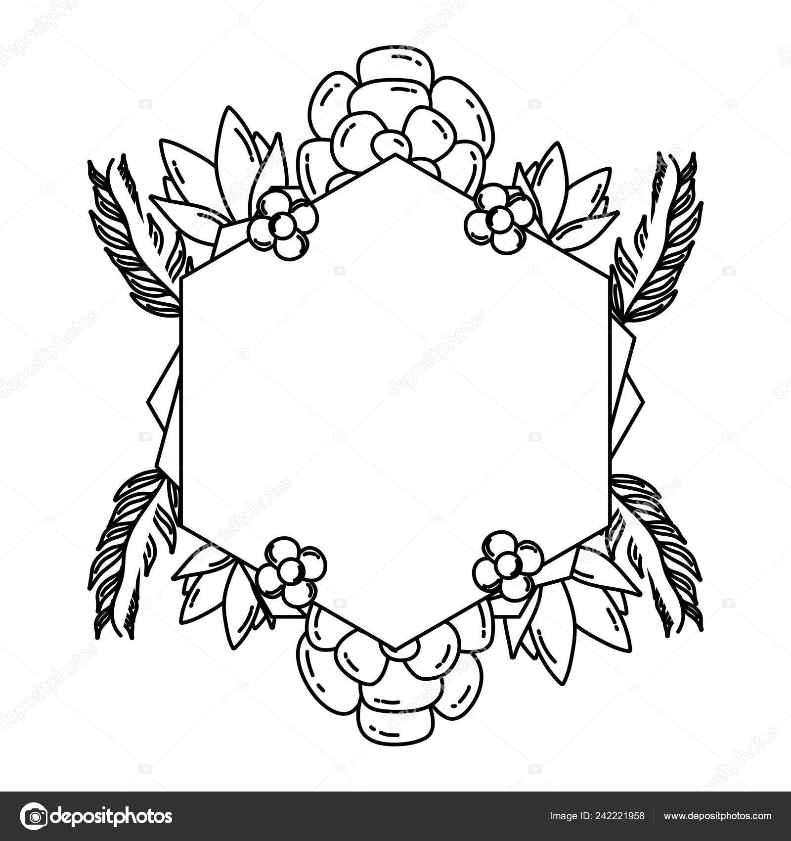 Line Geometric Shape Flowers Plants Leaves Vector Illustration Stock ...