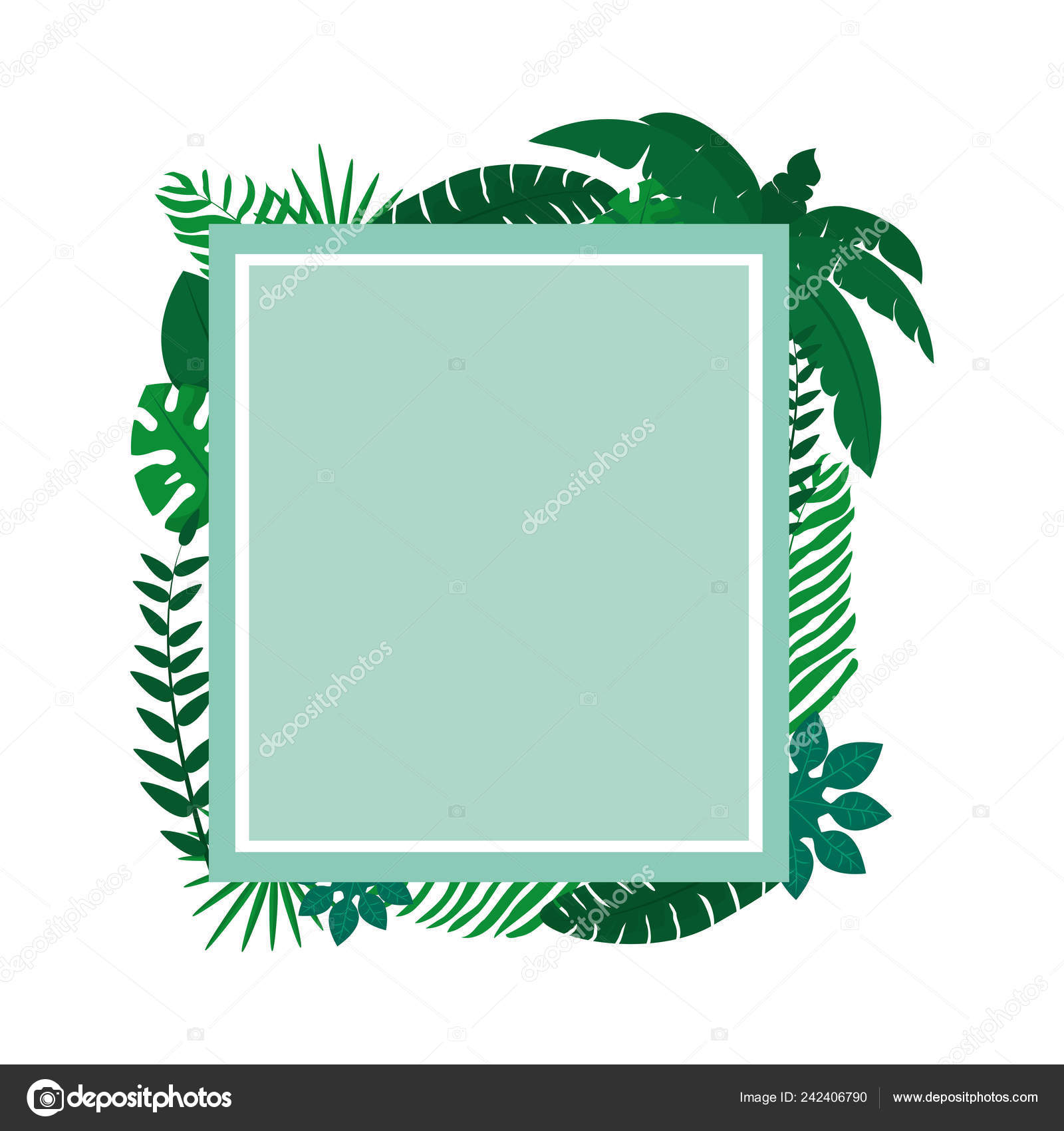 Square Exotic Plants Branches Leaves Vector Illustration Stock Vector ...