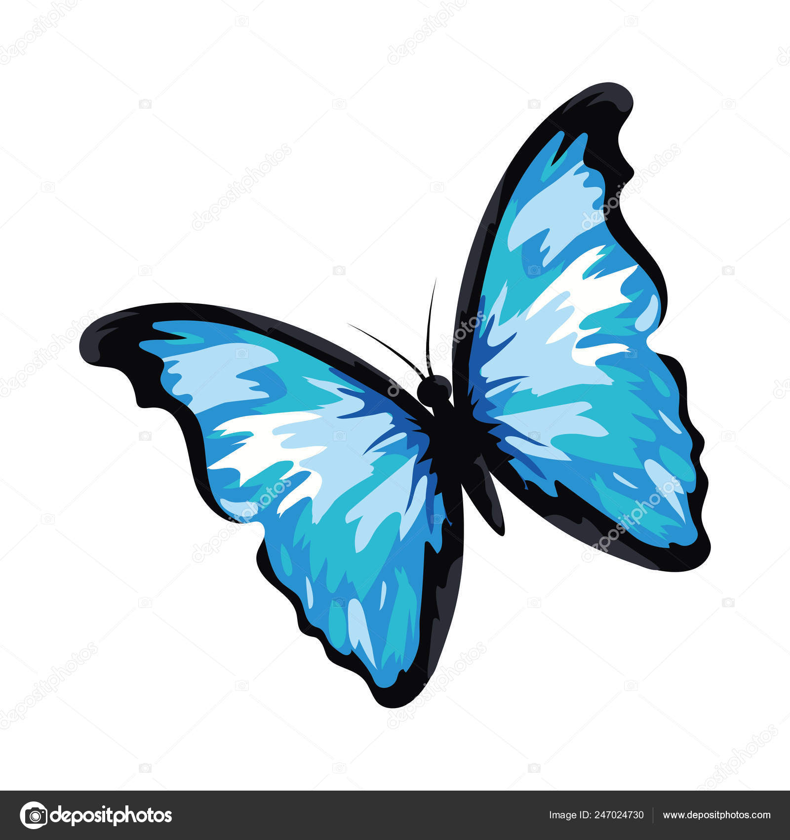 Beautiful Butterfly Animation