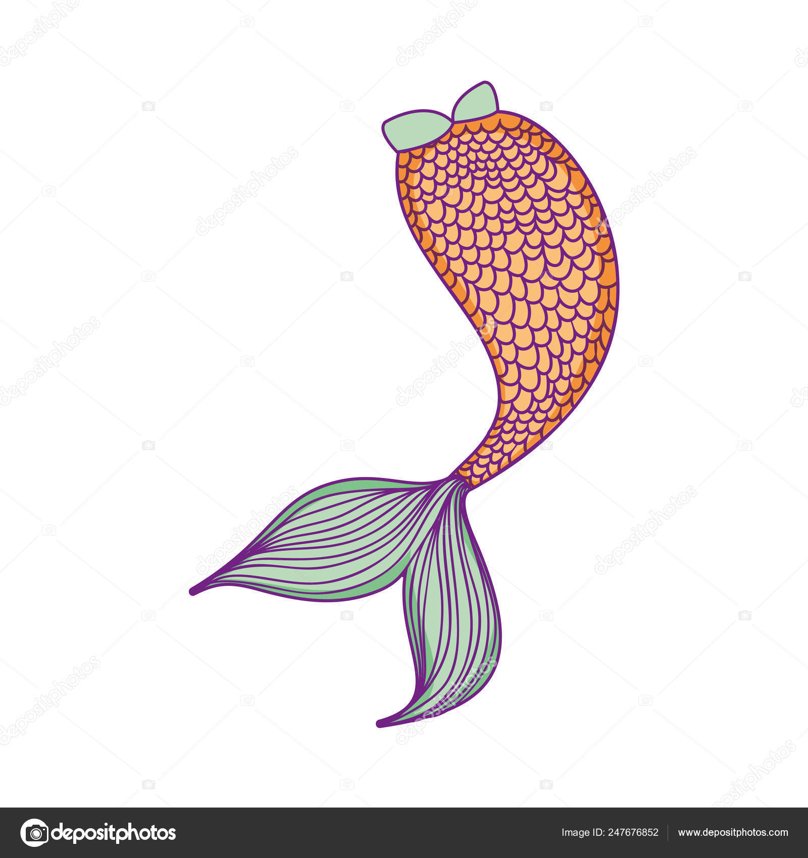 Mermaid tail cartoon Stock Vector Image by ©stockgiu #247676852