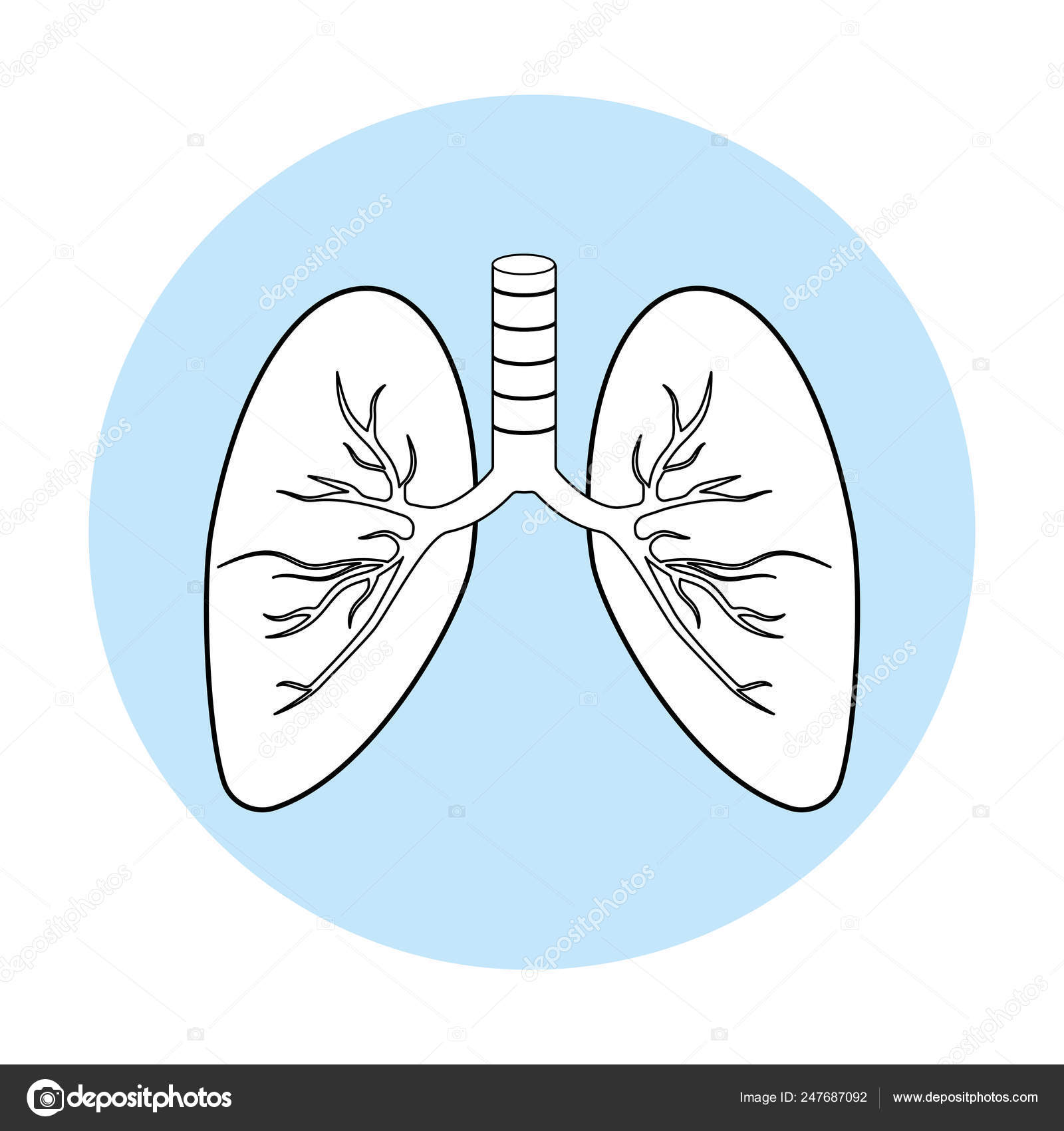 Símbolo pulmonar humano Vector de stock #247687092 de ©stockgiu