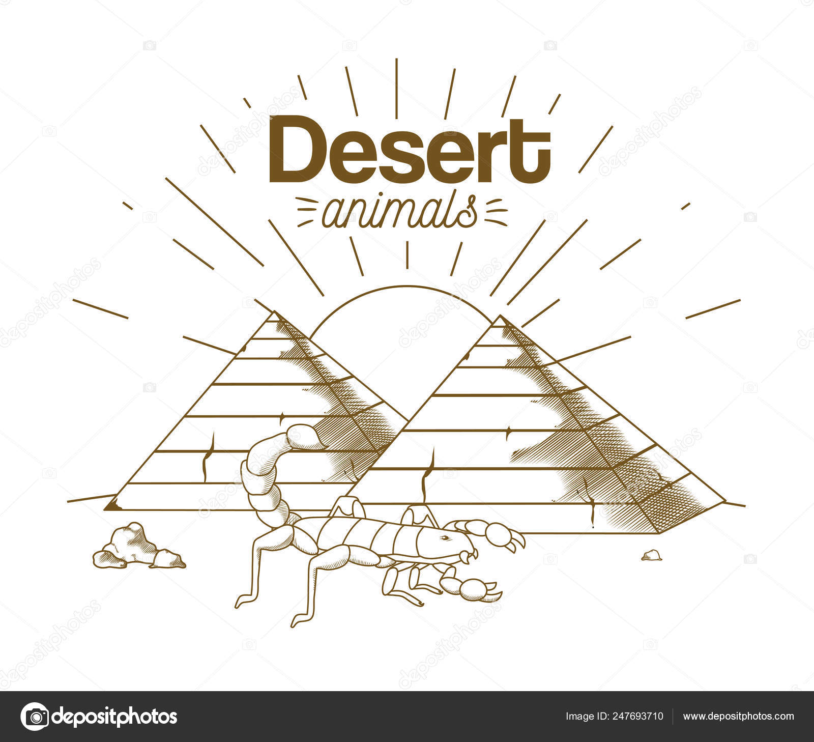Desert animals hand drawing cartoon Stock Vector Image by ©stockgiu ...