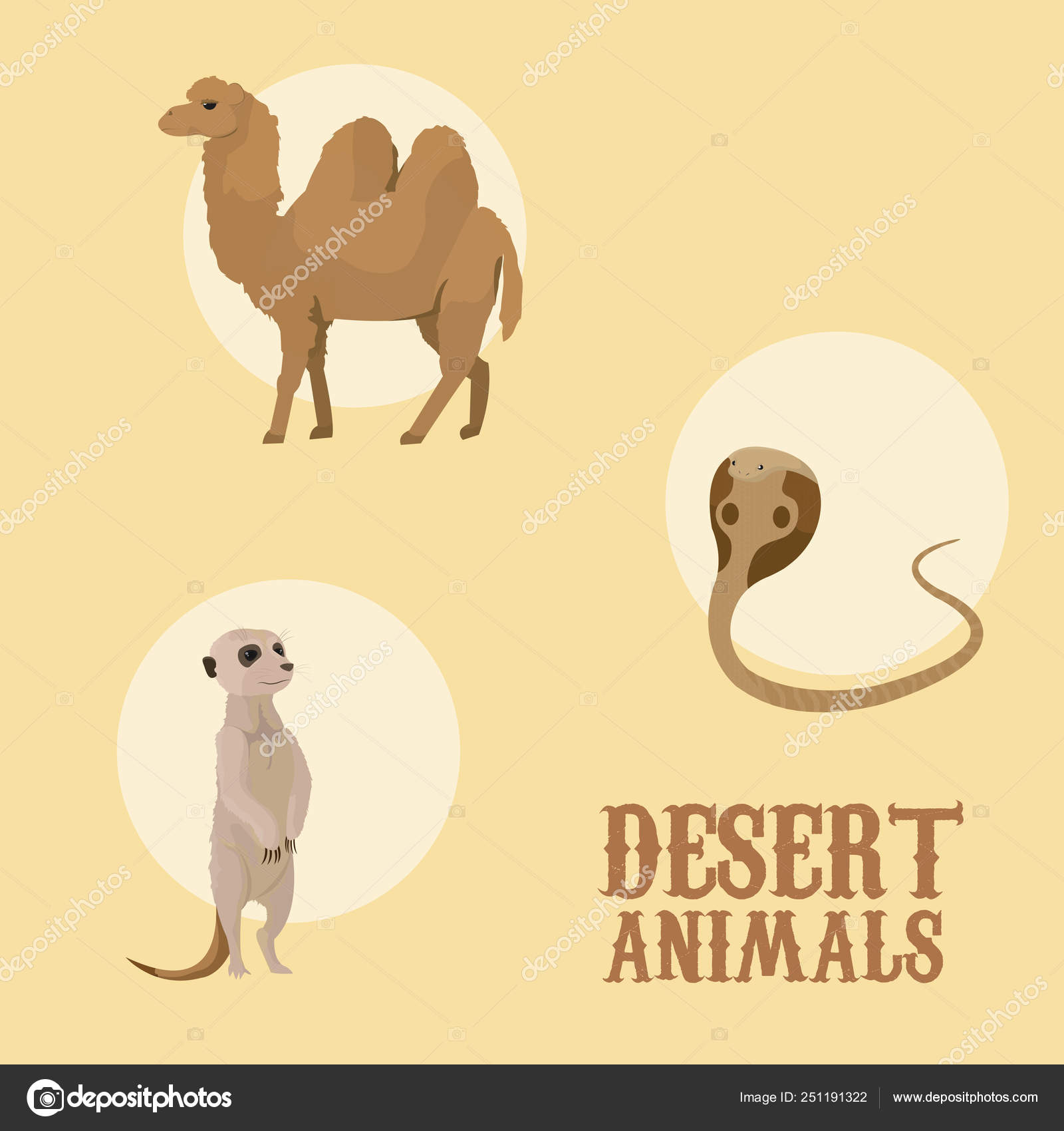 Set Desert Animals Cartoons Vector Illustration Graphic Design Stock ...
