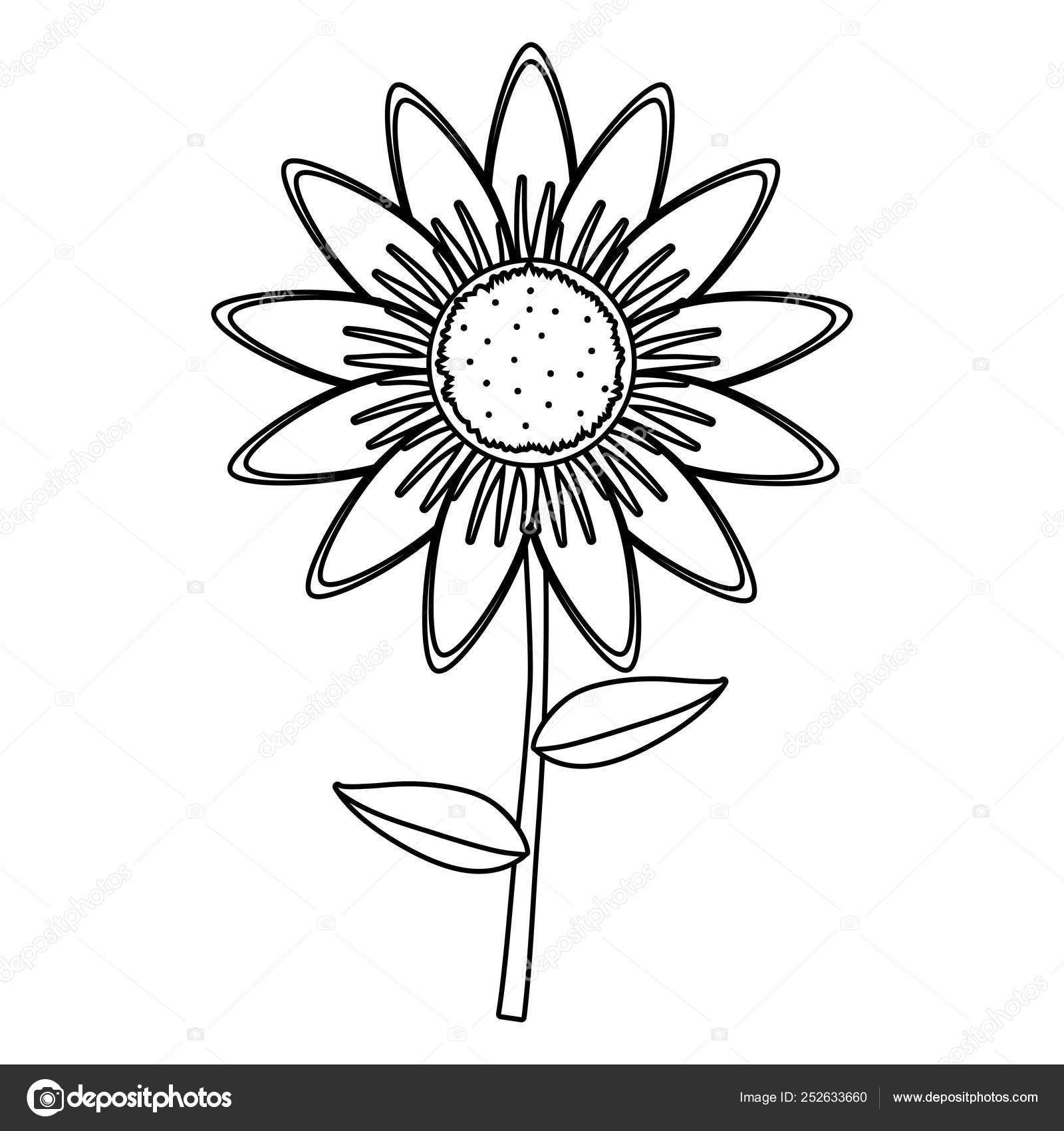 Cute Sunflower Cartoon Vector Illustration Graphic Design Stock Vector ...