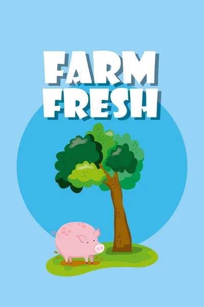 Farm fresh cartoons Stock Vector by ©stockgiu 265737404