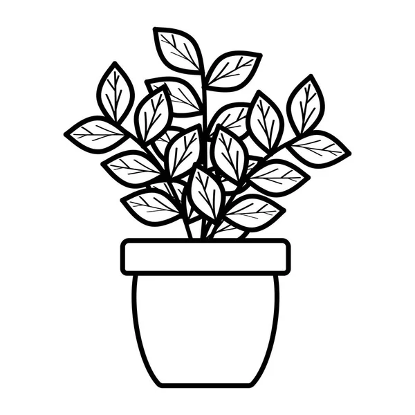 Potted Plants Clipart Black And White