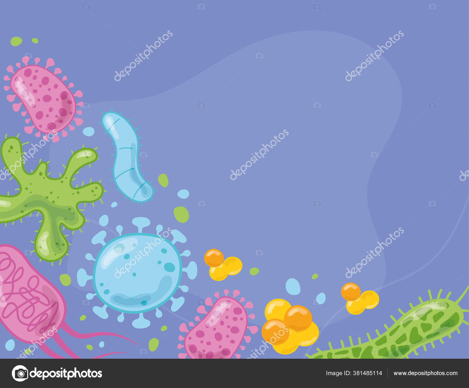 Protists Microorganisms
