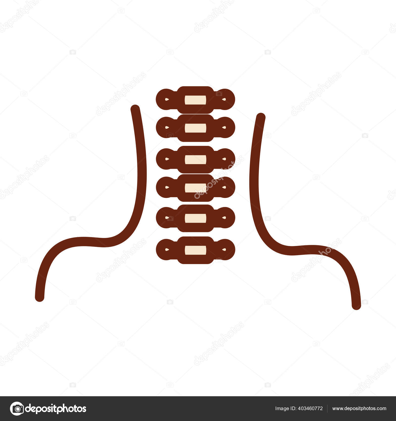 Human Body Cervical Vertebrae Anatomy Organ Health Line And Fill Icon