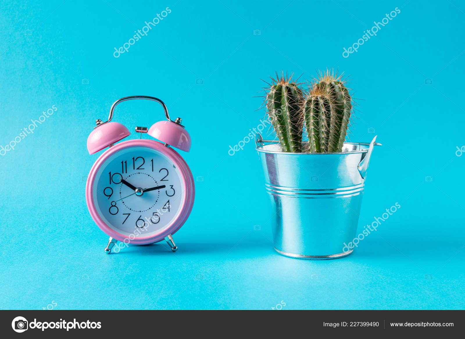 Pink Alarm Clock Cactus Blue Background Minimal Concept — Stock Photo ...