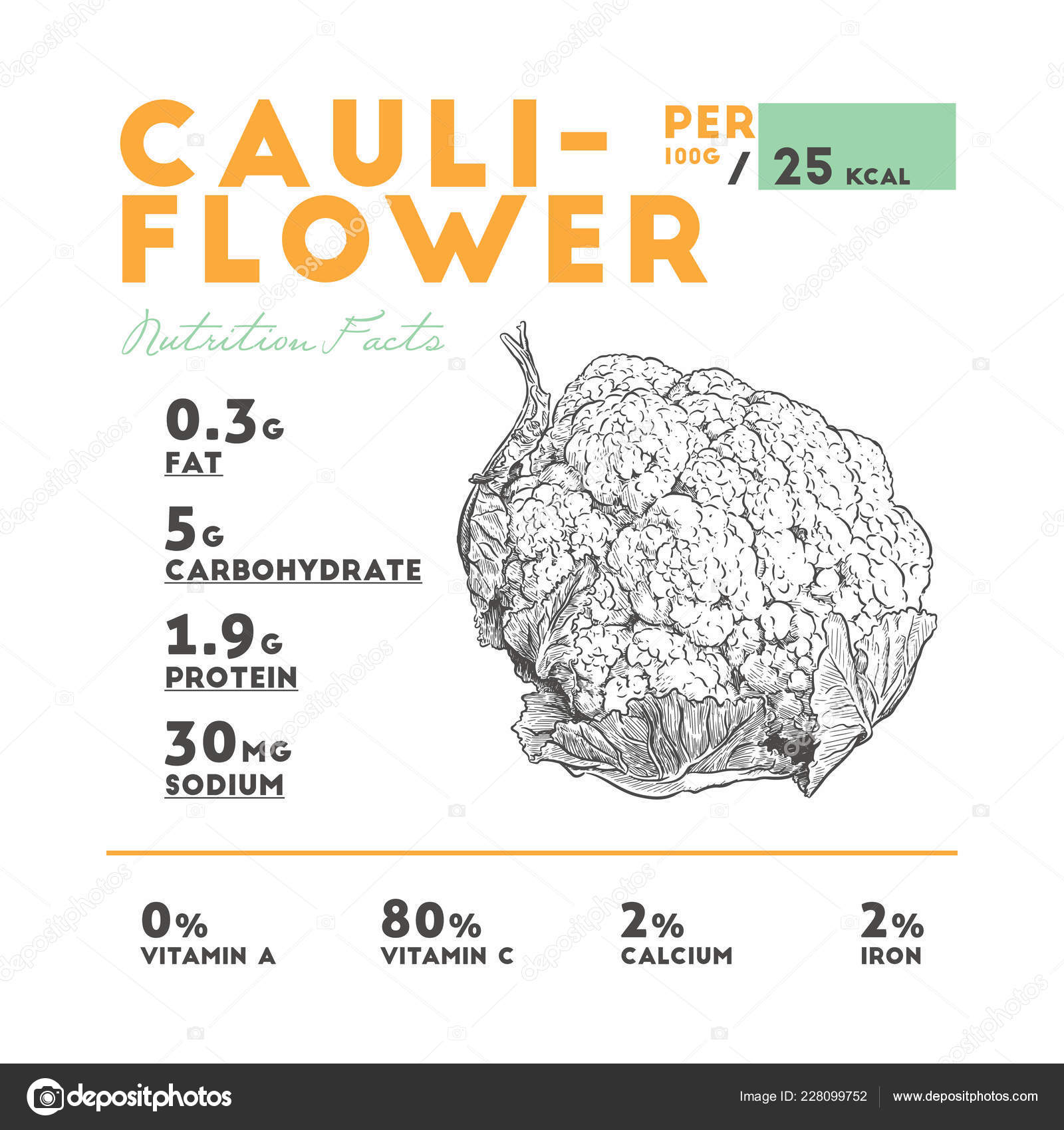 Cauliflower Health Benefits Vector Illustration Useful Nutritional ...