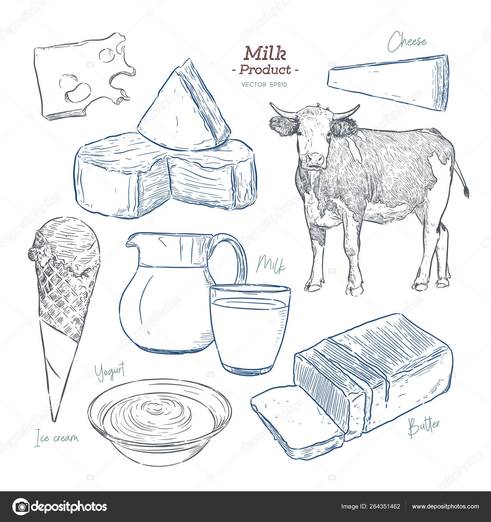 Hand Drawn Vector Sketch Dairy Products Set Vector Stock Vector Image