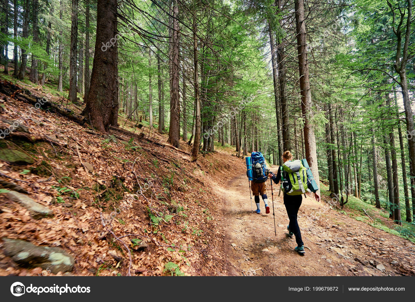 Person Walking Down A Path