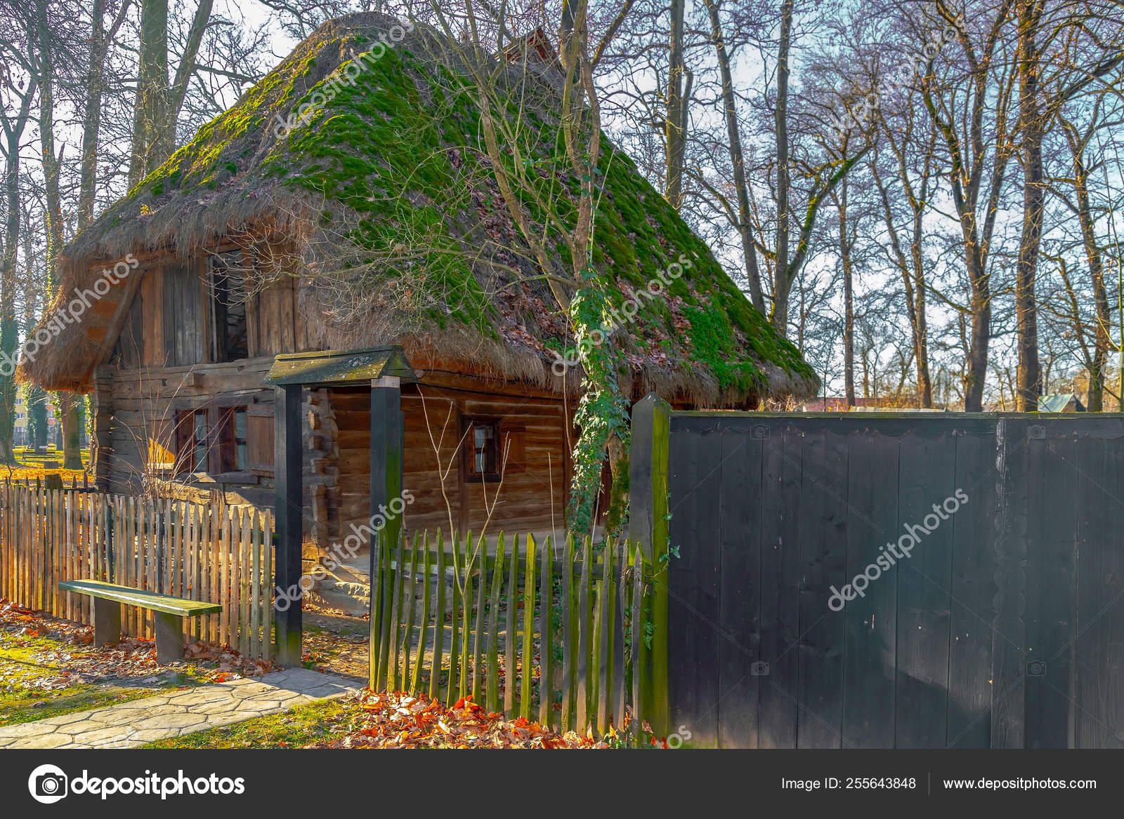 Casa de madera cubierta con paja y almizcle forestal, Banat, Rumania ...